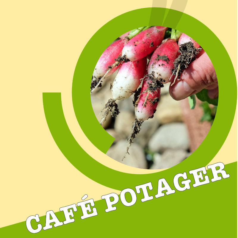 CAFÉ POTAGER